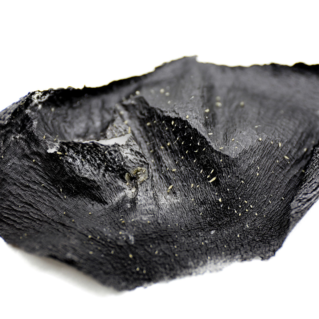 Black Mask Special (Buy 2 Get FREE Pimple Popper Tool) – Barber Clips